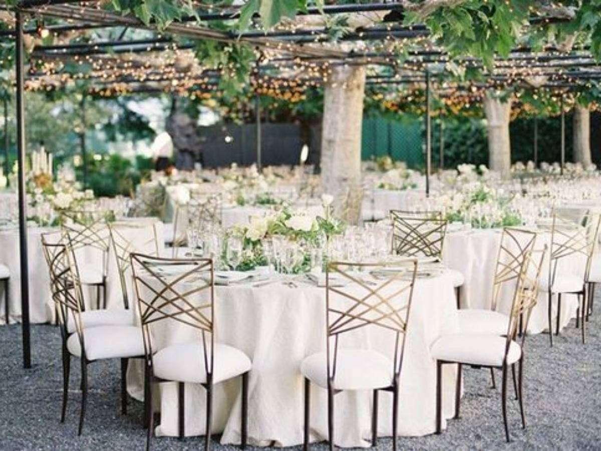 Exclusive Event Chair Designs to Stand Out from the Rest - The Seat Co ...