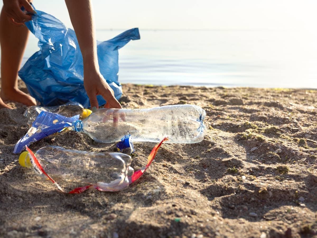 Seat Co Partners with Plastic Pollution Coalition for Oceans - The Seat ...