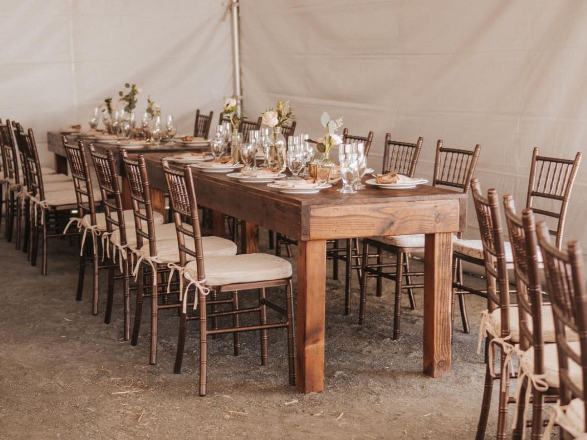 The Top 10 Most Profitable Items for Party Rentals - The Seat Co. Blog